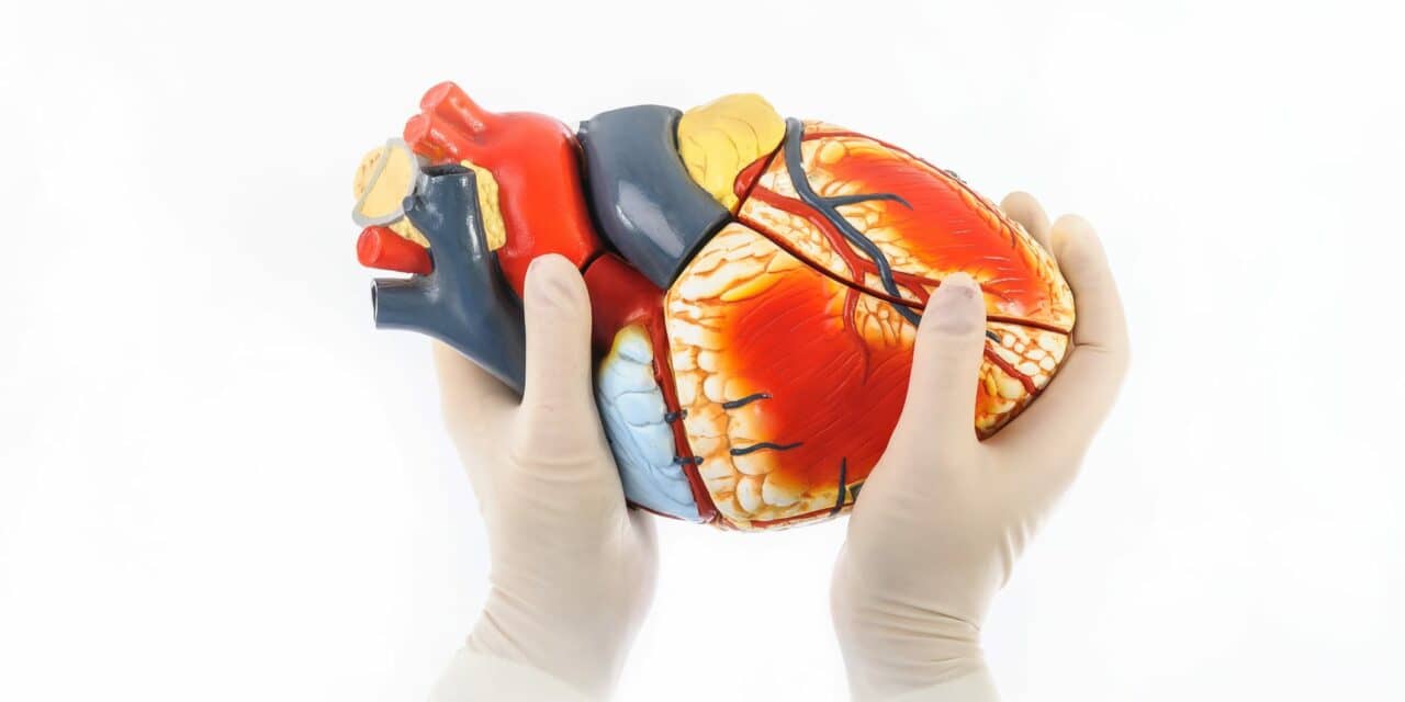 Cutting-Edge Catheter Technology Revolutionizes Cardiac Ablations at ...